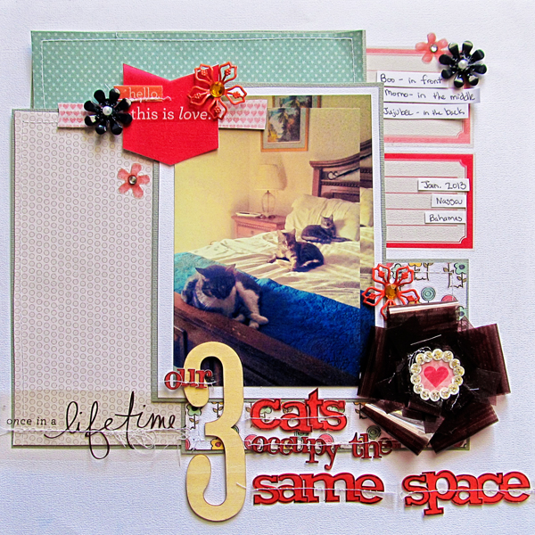 The Hybrid Experiment: Transparency Flowers - My Scrapbook Evolution